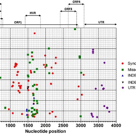 Intra Host Variants Detected For Ttvh5uy Variant Frequency For Each Download Scientific