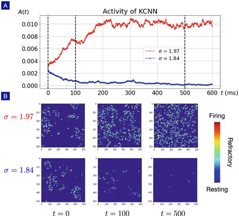 Spontaneous Asynchronous Firing In Kinouchi Copelli Neuronal Netwrok Download Scientific