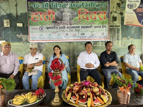 हात्तीलाई वनभोज फोटो फिचर सार्वजनिक सेवा प्रसारण संस्था
