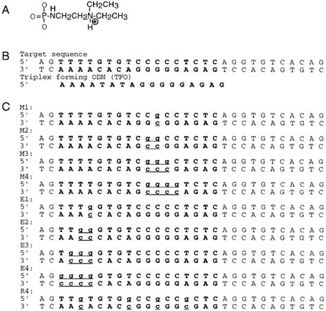 Schematic Of Target Site Variants And Modification A The Structure