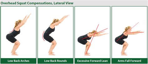 Nasm Chapter 6 Client Assessment Rusty Gunn Medium