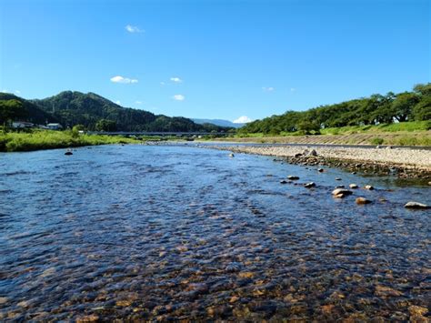 桧木内川 河川情報 藤枝オトリ鮎店 桧木内川・鮎釣り情報