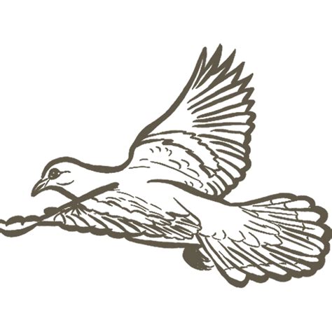 Dove Hunt H O T Brady Hunts