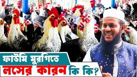 ডিমের রাণী ফাউমি মুরগিতে লসের কারন কি কি কিভাবে পালন করলে লাভবান হবেন Faumi Murgi Palon 2025