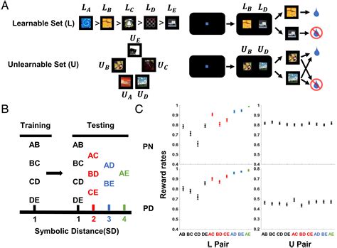 Superstitious Learning Of Abstract Order From Random Reinforcement Pnas
