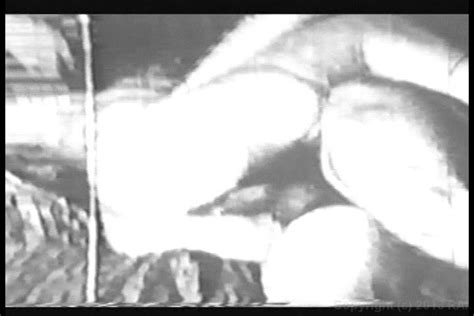 Reel Old Timers Vol 1 Streaming Video On Demand Adult Empire