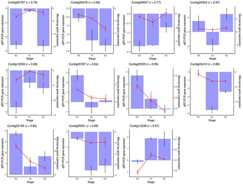 Real Time Pcr Validation Of Microarray Expression Values In Pinus