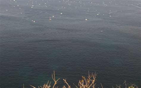 Val Final Detector Object Detection Dataset By Marco Signaroli