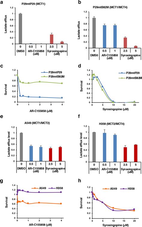 Inhibition Of P29 Cybrid Cell And Nsclc Cell Growth By Mct Inhibitors