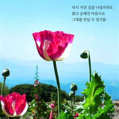 윤홍균 마음 지구력 책 명언 다시 시작 도움되는 문장 좋은 문구 And 힘들때 힘이되는 글귀 짧고 좋은 글귀 짧은 명언 네이버 블로그