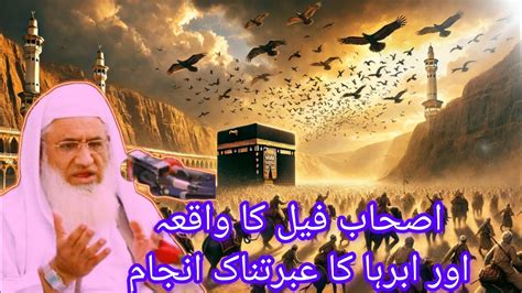 Ashab E Feel Waqia Molana Sheikh Idrees Saib Beautiful Bayan Youtube