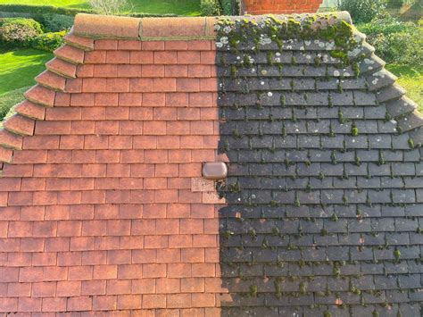 Roof Cleaning Hate Moss