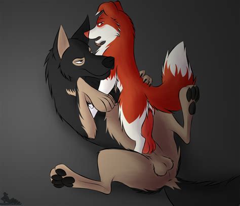 Rule 34 Animal Genitalia Balls Border Collie Canine Canine Collie