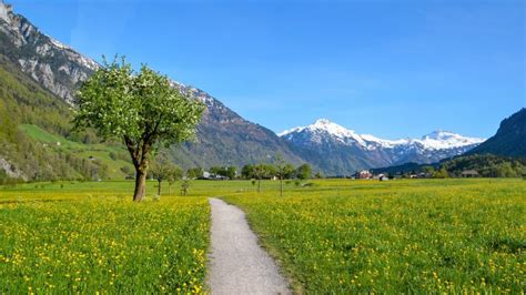 Beliebte Outdoorsportarten in der Schweiz – frischibikechallenge.ch
