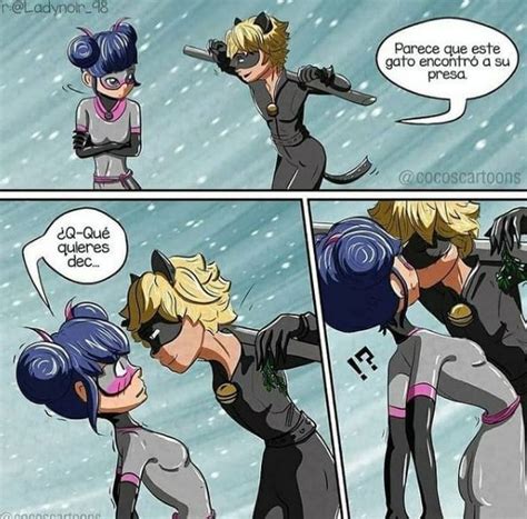 Pin On Multimouse X Chat Noir Miraculous Ladybug Miraculous Ladybug