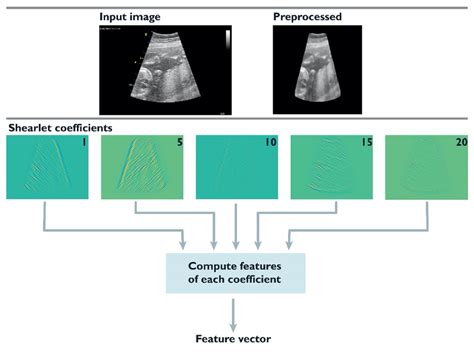 Generation Of Feature Vector Using Shearlet Coefficients Download Scientific Diagram