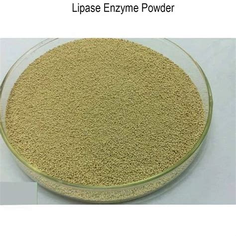 Lipase Enzyme Powder Packaging Size 5 Kg At Best Price In Ahmedabad
