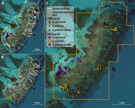 Illustration Of Survey And Spatial Analysis Component Maps And Spatial