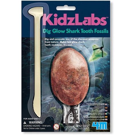 Dig Glow Shark Tooth Fossils Kit 5