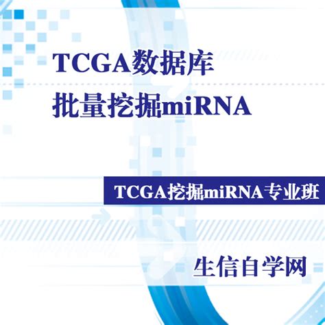 TCGA数据库批量挖掘miRNA miRNA批量 TCGA基础 生信自学课堂 生信自学网 生物信息学视频教程生信培训