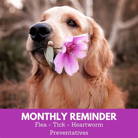 Wednesday 21319 Lone Tree Veterninary Medical Center Haystack