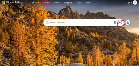 Reverse Image Search To Verify Matches On Tinder Hinge And Bumble