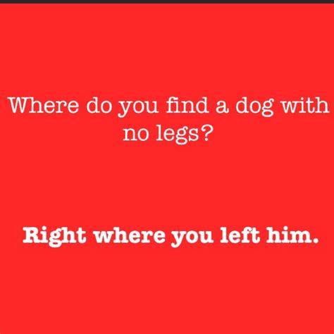 85 Corny Jokes Everyone Will Laugh At To Celebrate National Tell A Joke
