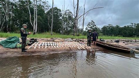 Secuestraron kilos de pescados en el río Paraná Elonce