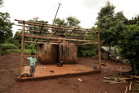 Silvia Gold Y Su Batalla Incansable Por Las 21 Enfermedades Tropicales Desatendidas Que Tienen
