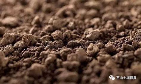 什么样的土壤结构最适合作物生长？ 团粒