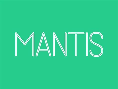 Mantis Animated Typeface Motion Graphics Design Text Animation