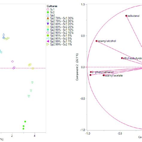 Principal Component Analysis Of 39 Volatile Compounds Analyses