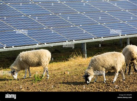 Wymeswold Solar Farm The Largest Solar Farm In The Uk At 34 Mwp On An