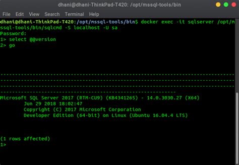 How To Run SQL Server Container On Ubuntu 18 04 Manjaro Dot Site