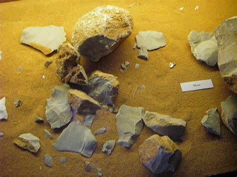Tools Shells And Bones From Lake Mungo In Australia