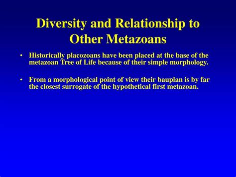 B And B Chapter 7 Pp Ppt Download