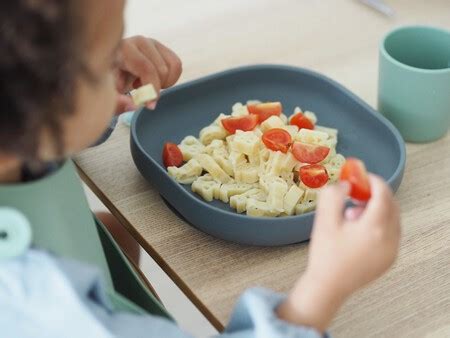 Guía para no perderte en la alimentación complementaria de tu bebé todo lo que necesitas saber