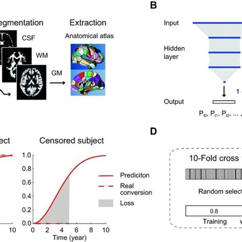 Overview Of The Analysis A Pre Processing Of Mri Images Including