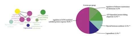 Cluego Enrichment Analysis A Cph Pah The Interaction Network Of Go Download Scientific