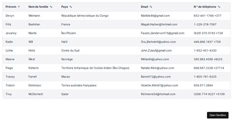 Internationalization Data Grid Codesandbox