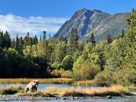 The Chilko Experience Wilderness Resort Tŝilhqox Biny Chilko Lake