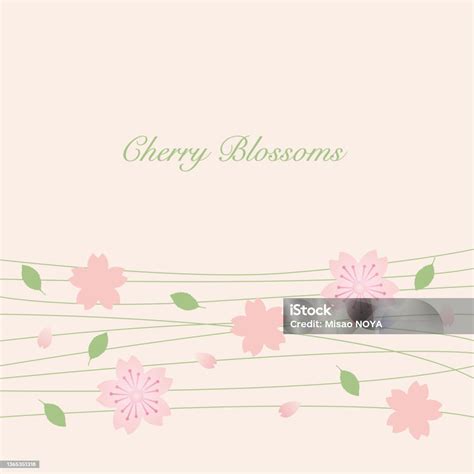 Latar Belakang Siluet Bunga Sakura Ilustrasi Stok Unduh Gambar