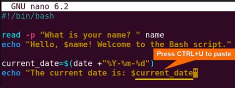 How To Copy And Paste In Bash 2 Methods With Cases