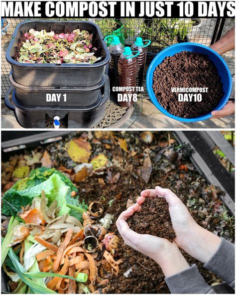 Best 13 Worm Farming For Beginners How To Compost Indoors With A Diy Worm Farm Or Vermi