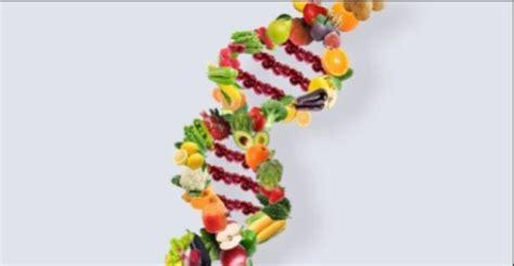 How To Eat Well With Your Body Personalisednutrition Moji Dayo