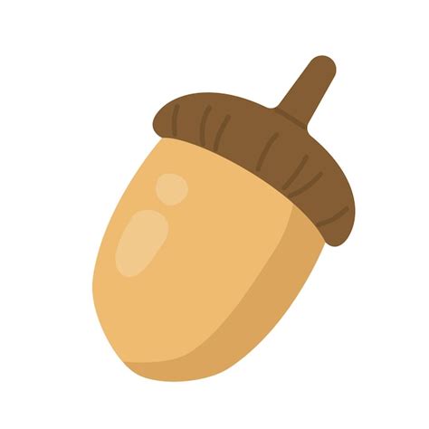Premium Vector Oak Tree Acorn