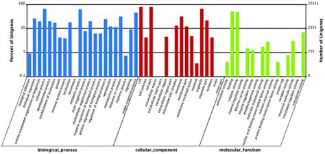 Functional Annotation Of Assembled Sequences Based On Gene Ontology Download Scientific Diagram