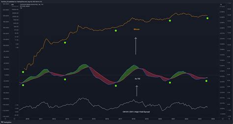 Latest Bitcoin Btc Crash The Final Fakeout Before Mega Expansion