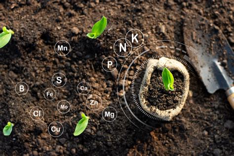 Know your Fertiliser NPK ratios: N - Nitrogen (good leafy growth), P - Phosphorus (strong roots ...