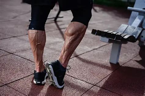 7 Recommended Soleus Muscle Exercises To Unlock Better Circulation